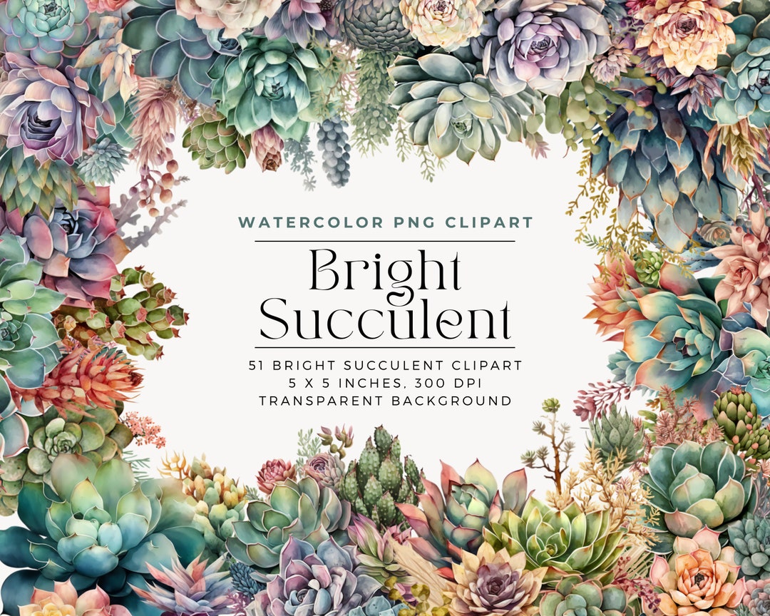 Bright Succulent Flowers PNG, Watercolor Floral Clipart Bouquets ...