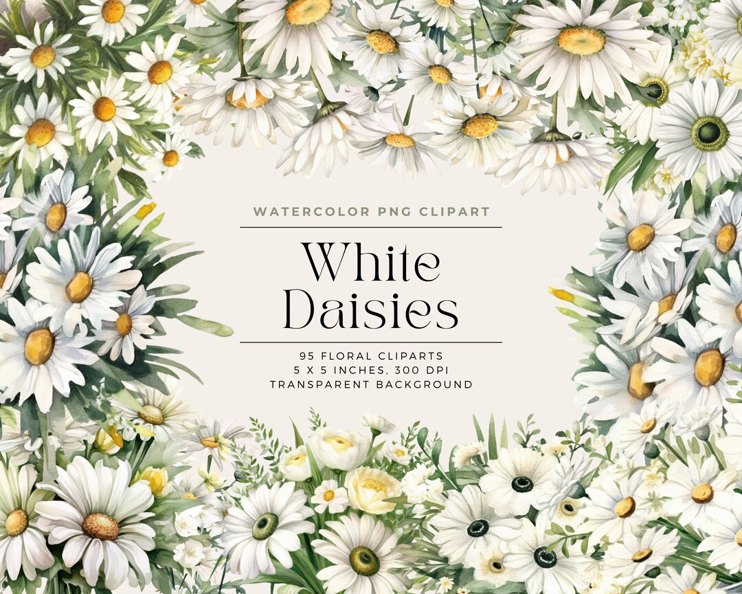 Watercolor Daisies Clipart, Watercolor Floral Clipart Bouquets ...