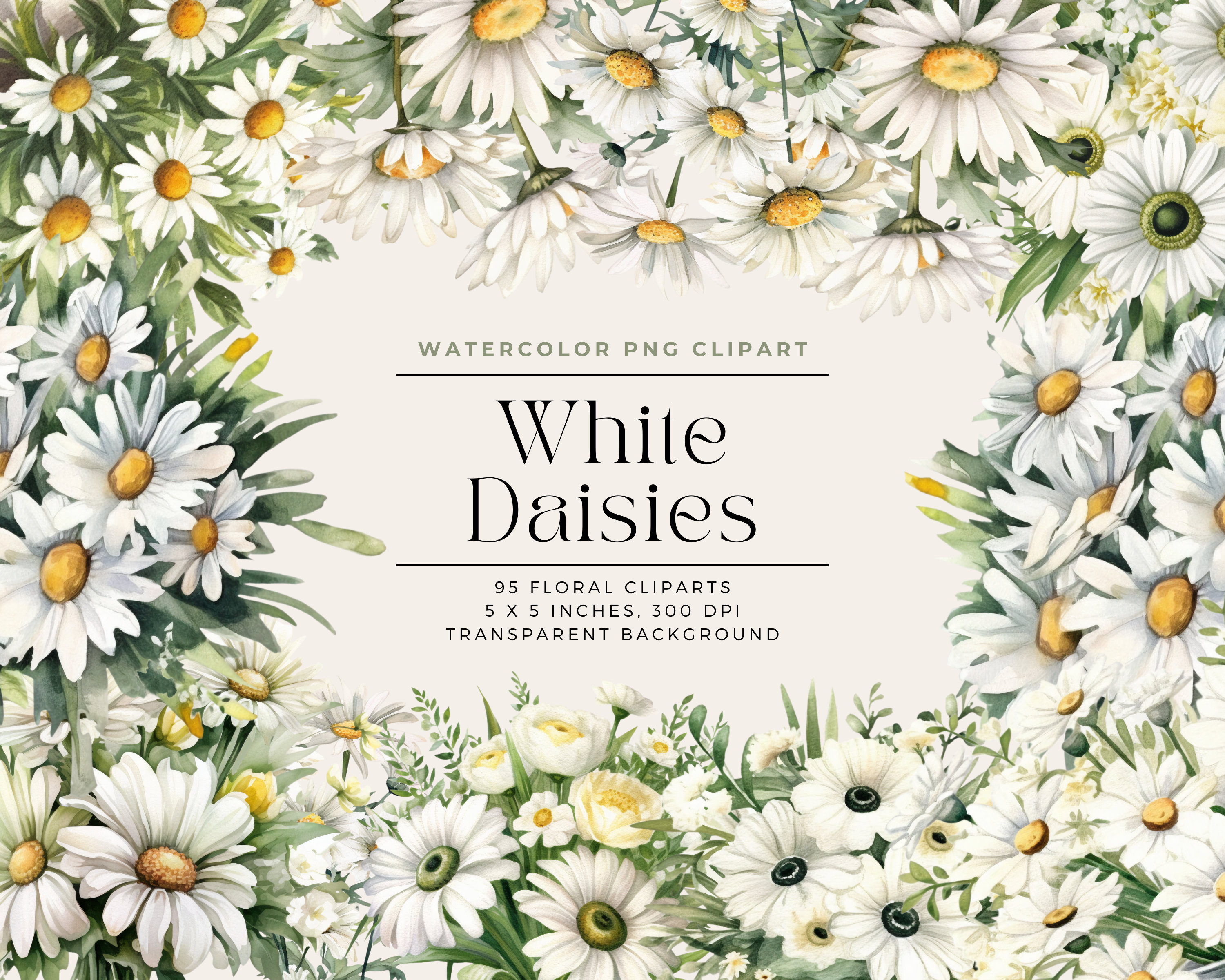 Watercolor Daisies Clipart, Floral Bouquet Elements (PNG, Digital ...