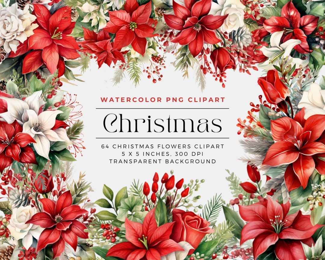 Christmas Flowers PNG, Christmas Bouquets, Watercolor Floral Clipart ...