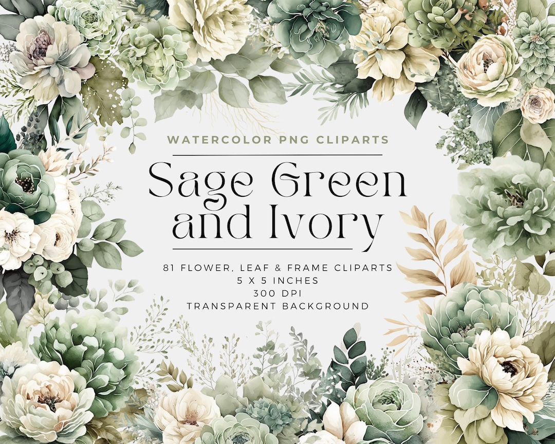 Sage Green and Ivory Flowers PNG, Watercolor Floral Clipart Bouquets ...