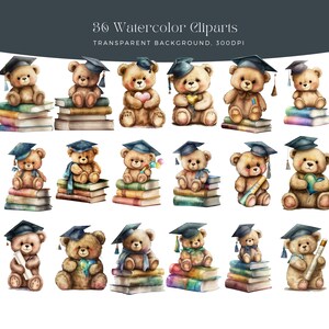 Watercolor Graduation Clipart, Bears Clipart, Graduation Png ...