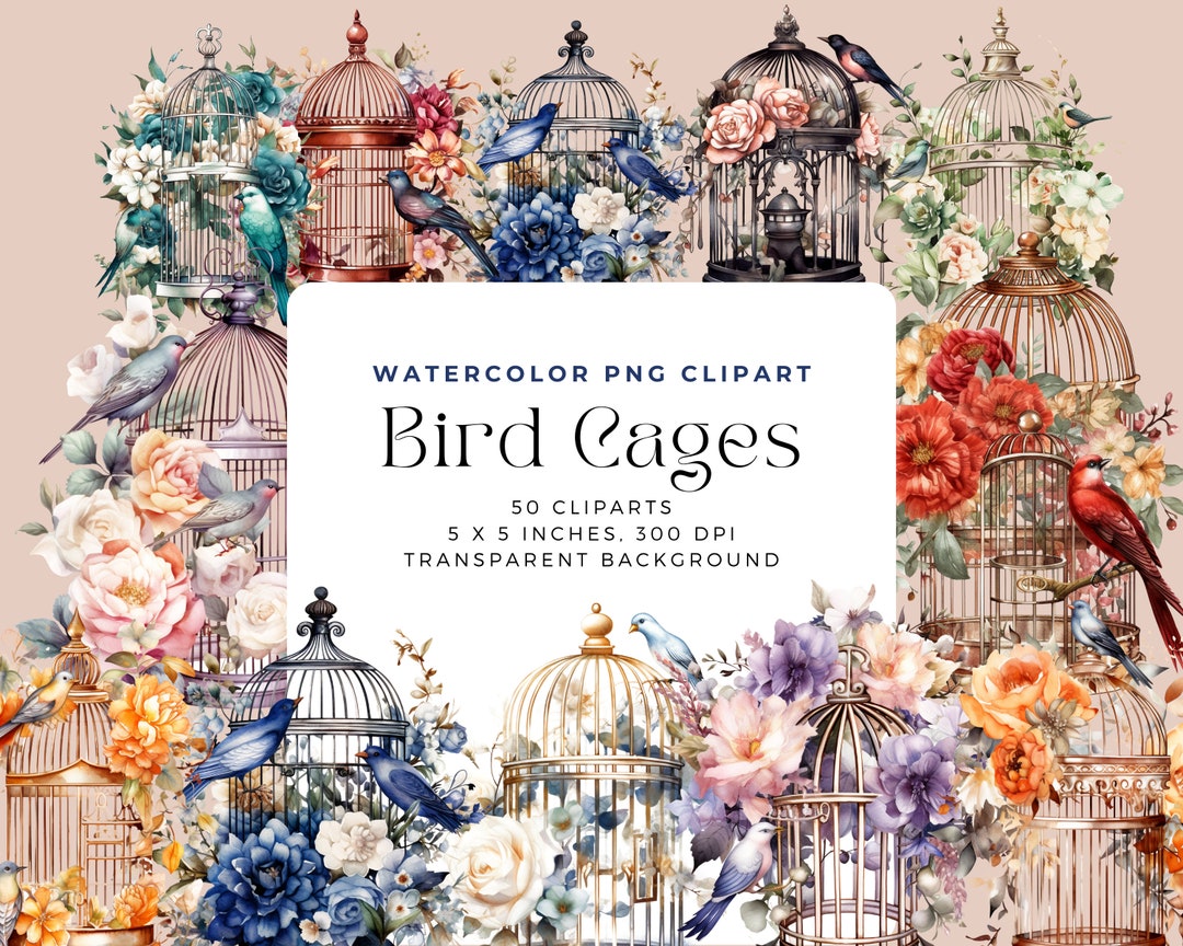 Watercolor Birdcages Clipart, Floral Shabby Vintage Bird Cages,digital ...