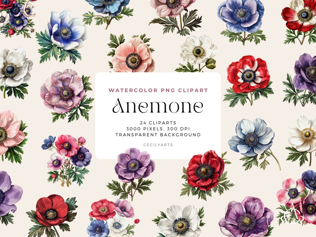 Anemone Flower Cliparts PNG, Watercolor Floral Clipart Bouquets ...