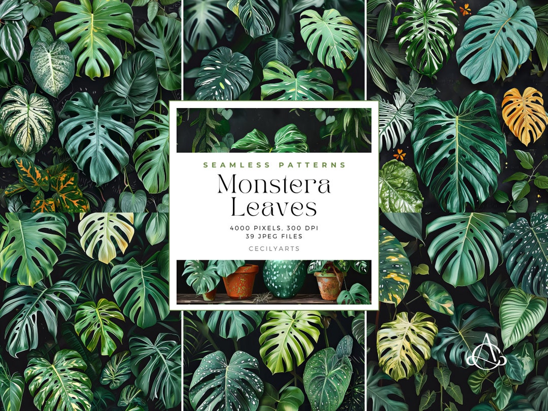 Monstera Leaves Seamless Patterns, Commercial Use Digital Download ...