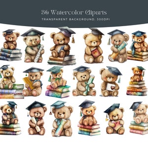 Watercolor Graduation Clipart, Bears Clipart, Graduation Png ...