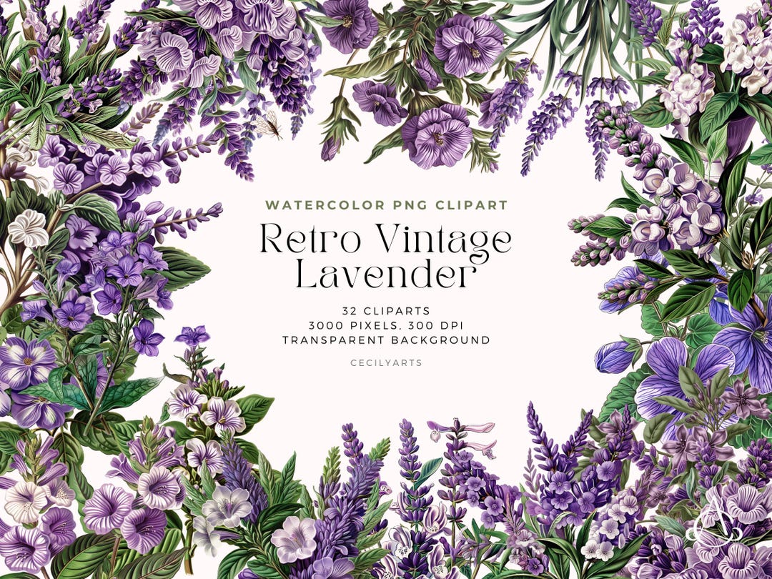 Vintage Lavender Flower Clipart: Retro Watercolor Botanical Images ...
