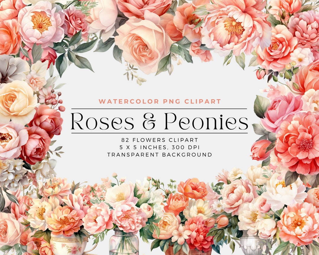 Roses and Peonies Flowers PNG, Watercolor Floral Clipart Bouquets ...