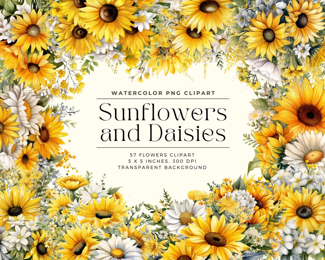 Sunflower and Daisies Flowers PNG, Watercolor Floral Clipart Bouquets ...