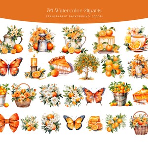 Watercolor Oranges Clipart PNG, Watercolor Sublimation Oranges Clipart ...