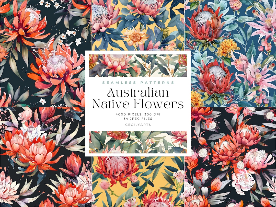 Australian Native Flowers, Digital Download JPG, Aussie Floral Native ...