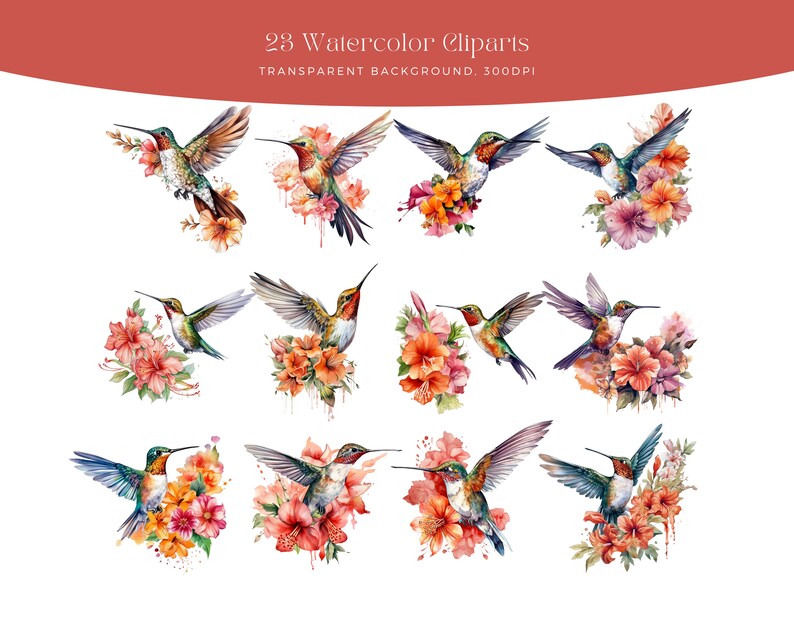 Watercolor Hummingbirds Clipart, Colorful Hummingbirds, Elements ...