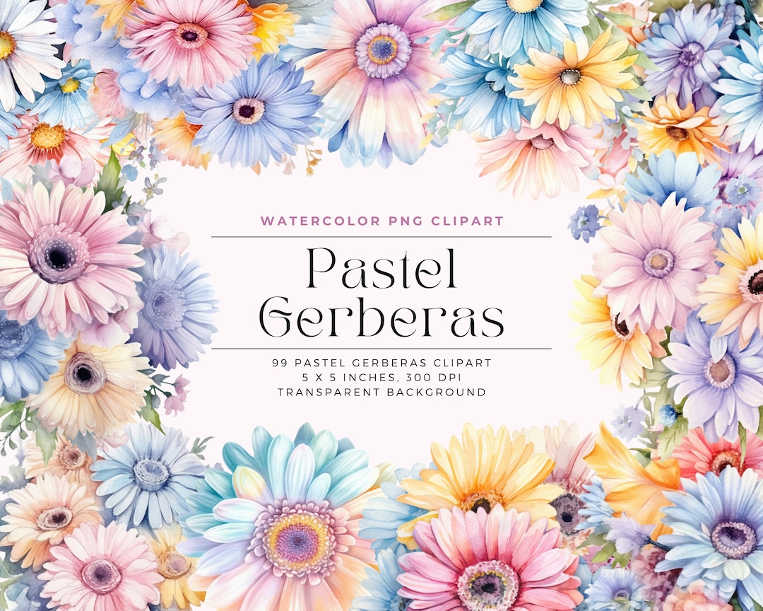 Pastel Gerberas Flowers PNG, Watercolor Floral Clipart Bouquets ...