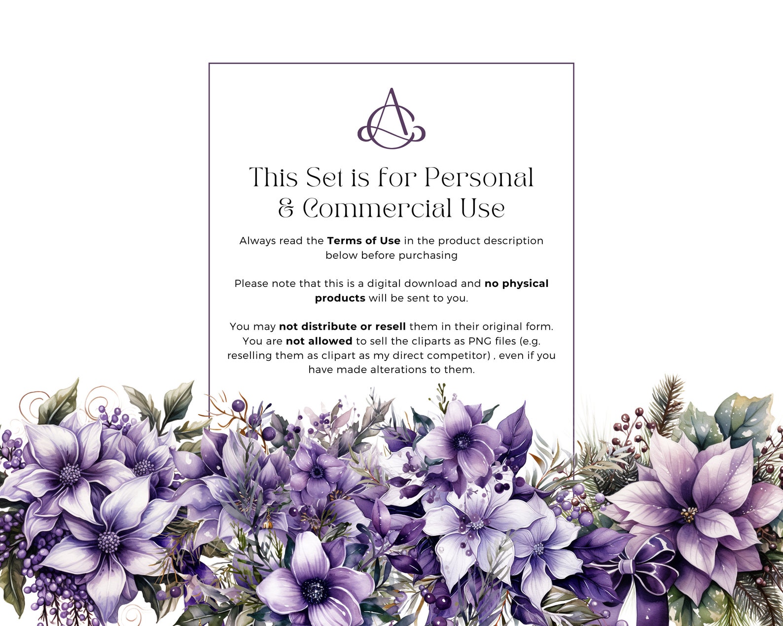 Purple Holly Flowers PNG, Watercolor Holly Clipart, Watercolor Floral ...