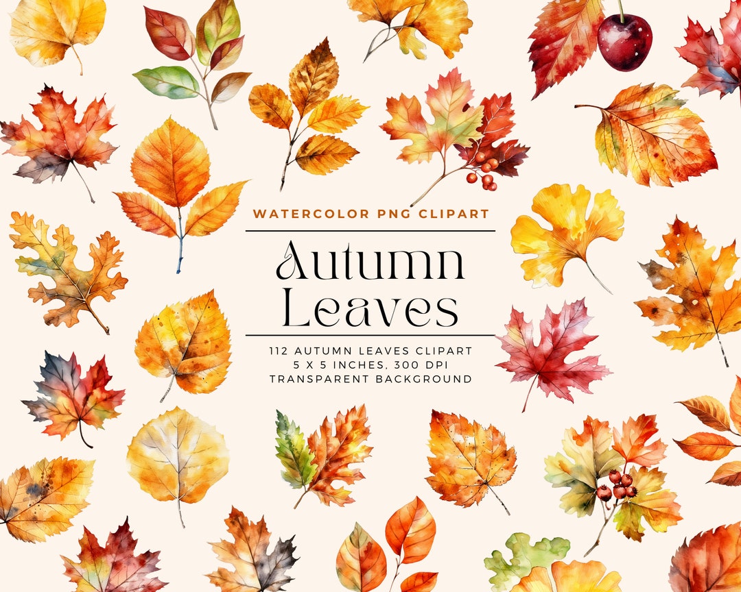 Watercolor Autumn Leaves Clipart, Autumn Clipart, Autumn Leaves ...