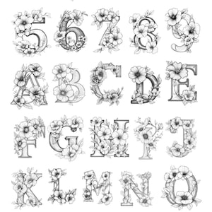 Floral Alphabet Clipart: Watercolor Line Art Letters & Numbers (digital ...