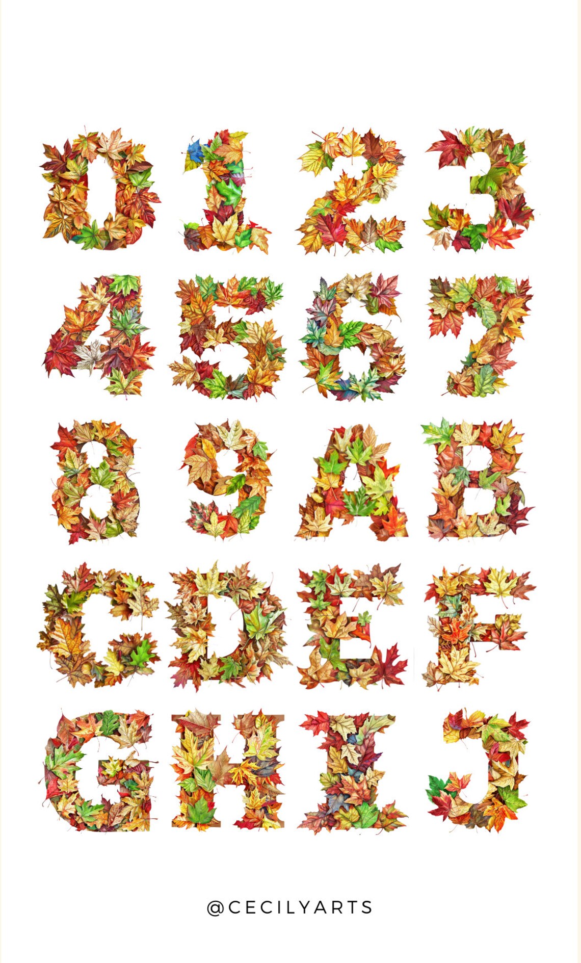 Autumn Alphabet and Numbers, Alphabet PNG, Floral Alphabet A - Z ...