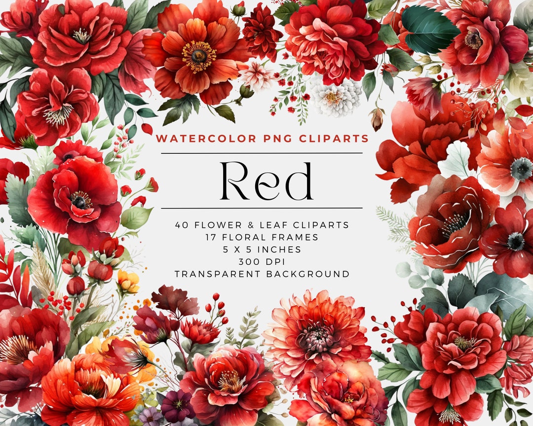 Red Watercolor Flower Clipart: Floral Bouquets & Frames (PNG Digital ...