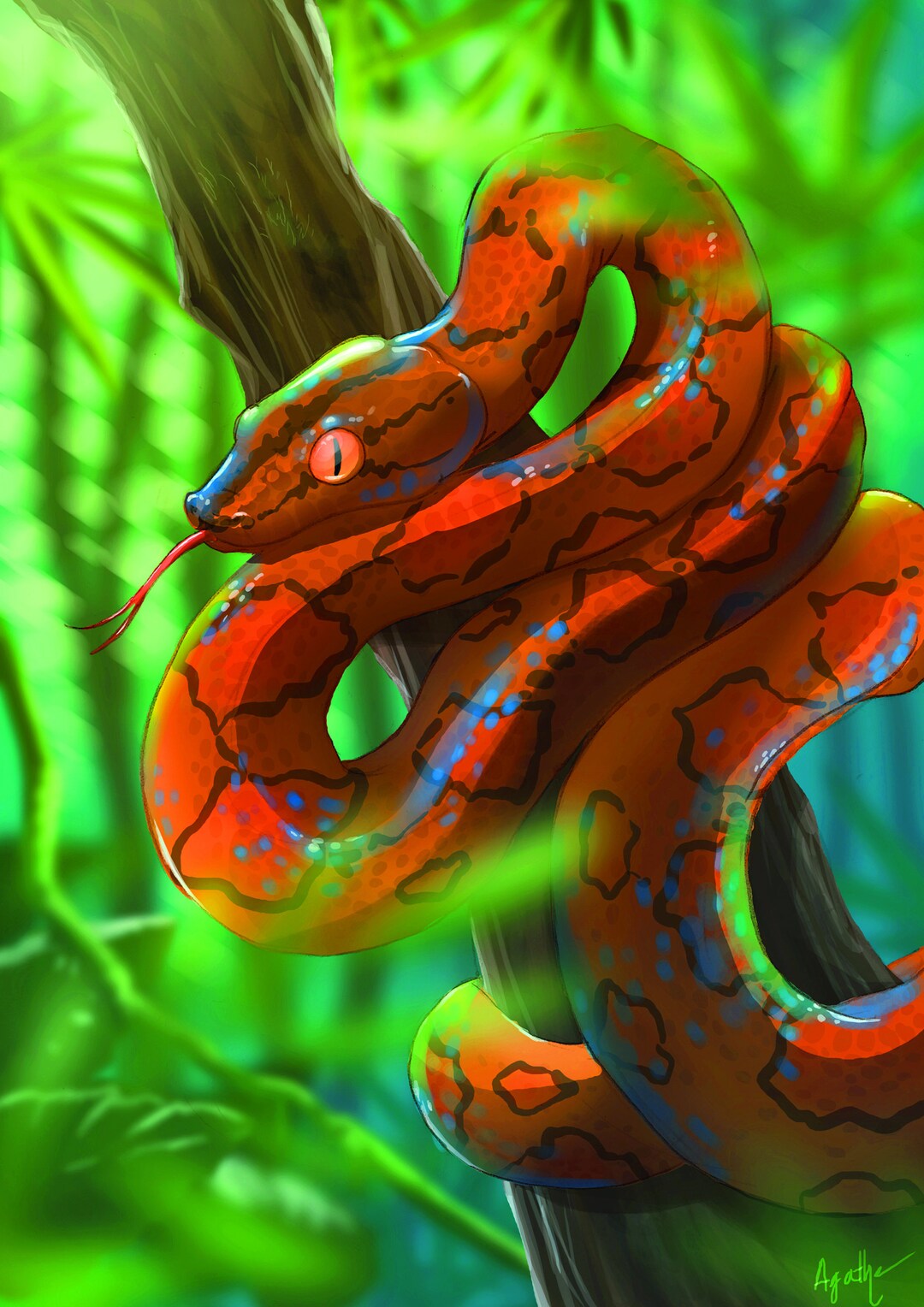 A5 Rainbow Boa Map - Etsy