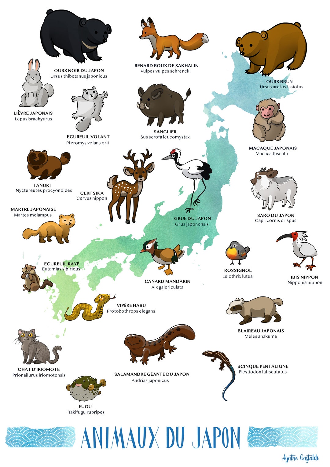 Affiches animaux du Japon - Etsy France