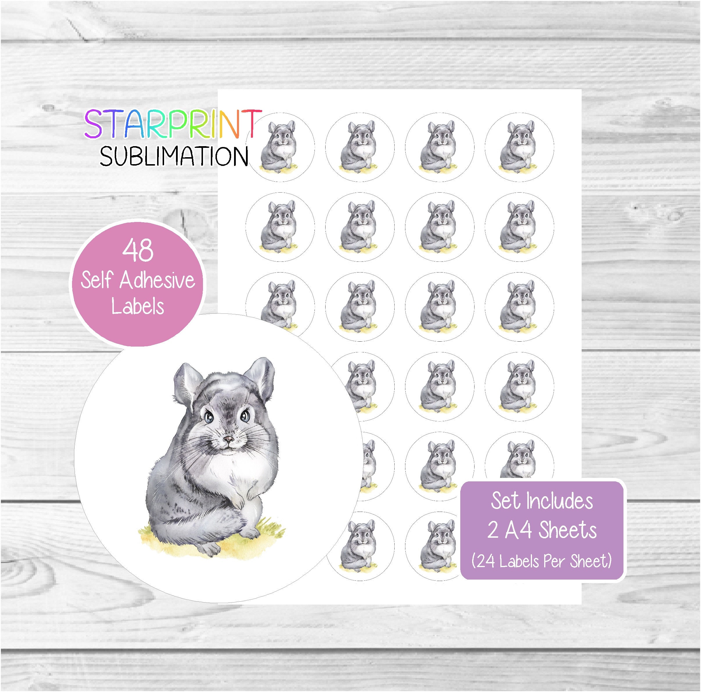 Chinchilla Stickers 48 Round Labels 2 A4 Sheets 24 per | Etsy Singapore