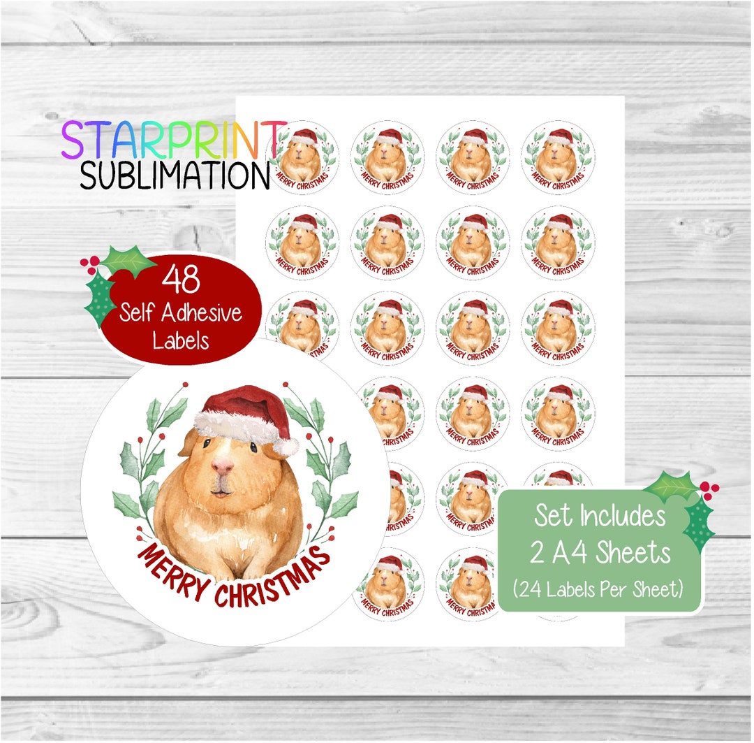 Guinea Pig Christmas Stickers/envelope Seals, 48 Round Labels (2 A4 ...