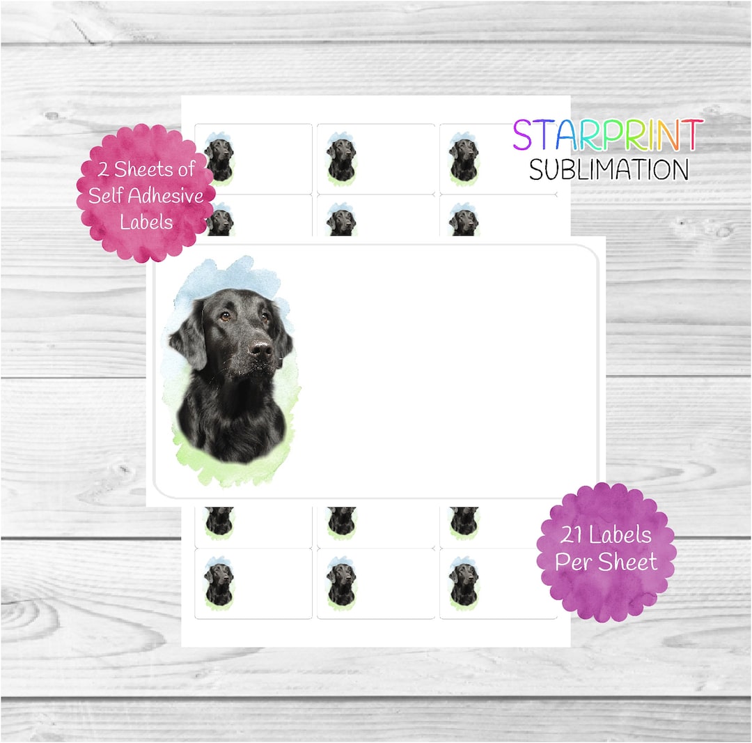Flatcoated Retriever Dog Sticker Sheets, 42 Multi Purpose Stickers ...