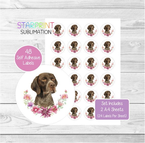 German Shorthaired Pointer Dog Stickers 48 Round Labels 2 A4 - Etsy