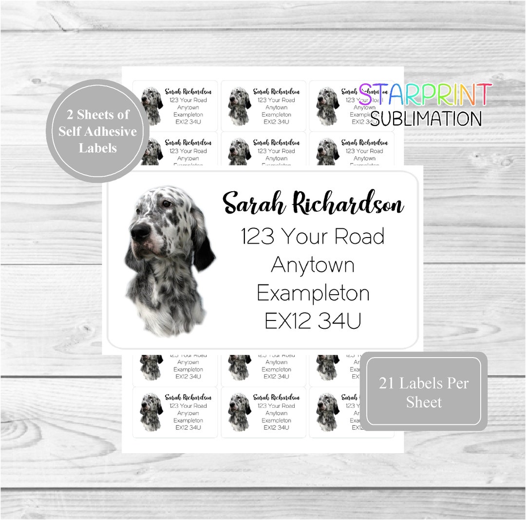 English Setter Dog Personalised Address Labels, 42 Custom Self Adhesive ...