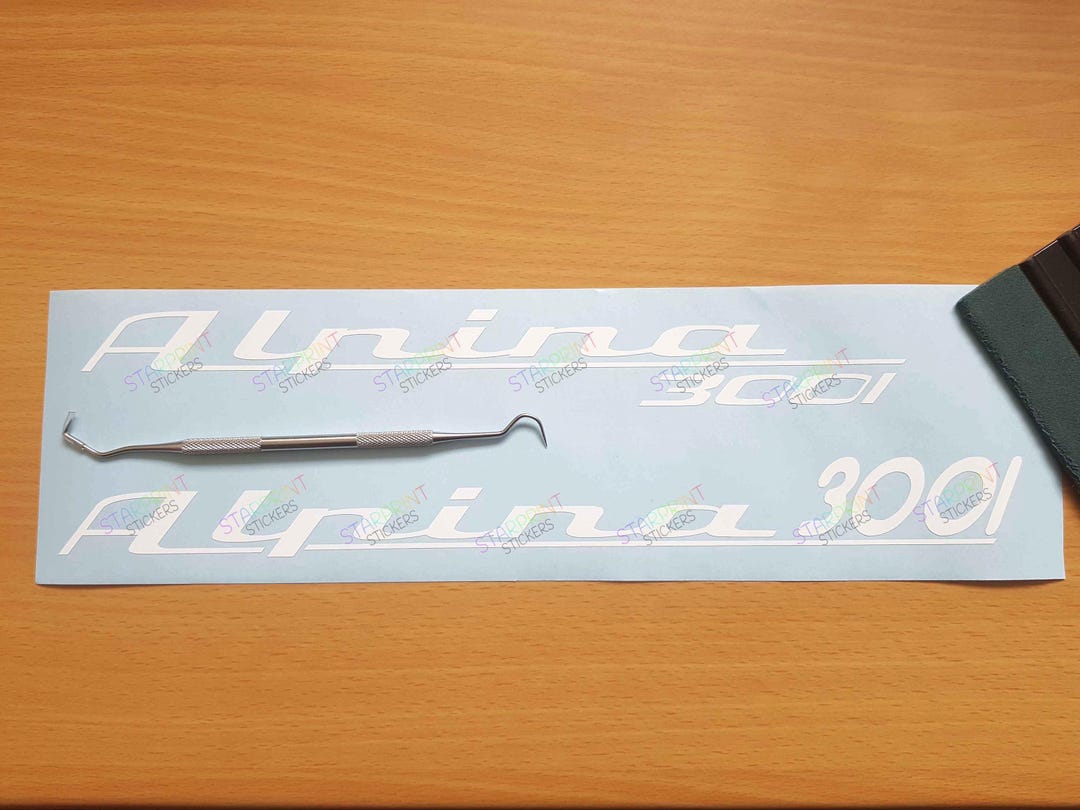 Alpina 3001 Glider Vinyl Decal Sticker Car Flight Box Van Hobby RC ...