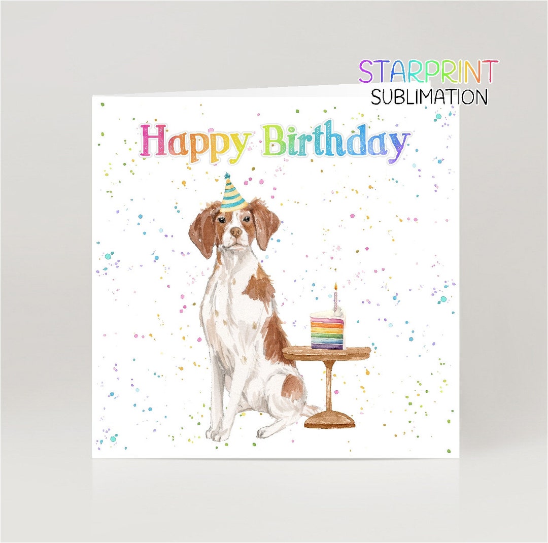 Brittany Spaniel Happy Birthday Card Fun Dog Greeting Card - Etsy