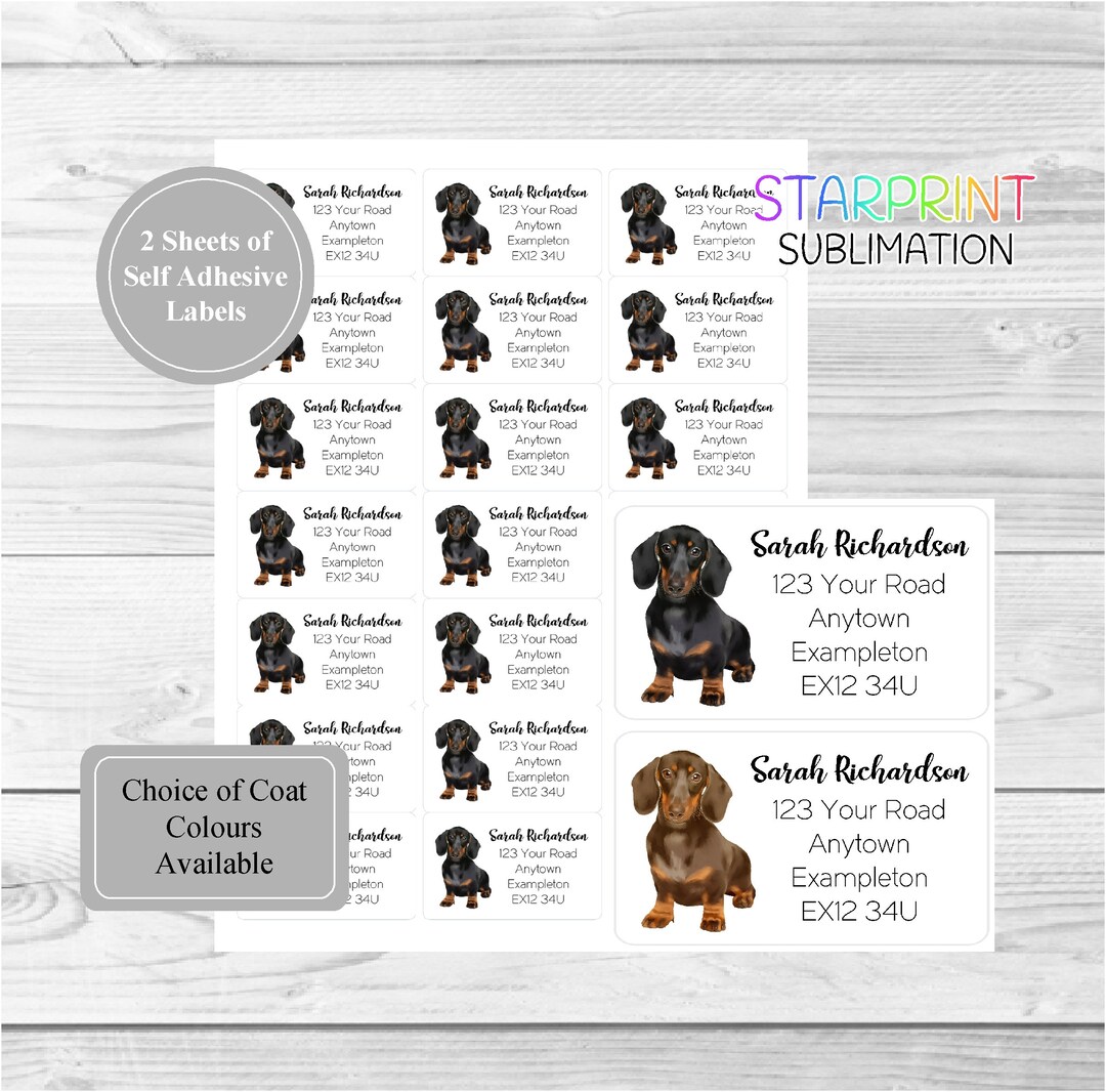 Dachshund (smooth Haired) Dog Personalised Address Labels, 42 Self ...