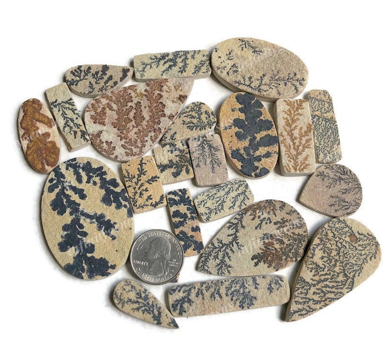 Amazing Quality Dendrite Fossil Cabochon Lot Natural - Etsy