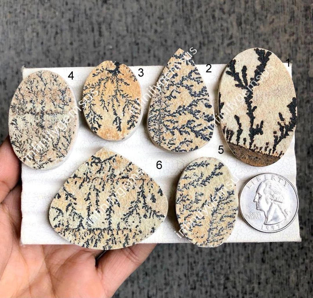 Dendrite Fossil Cabs, You Can Get Any of the Stones You Like From This ...