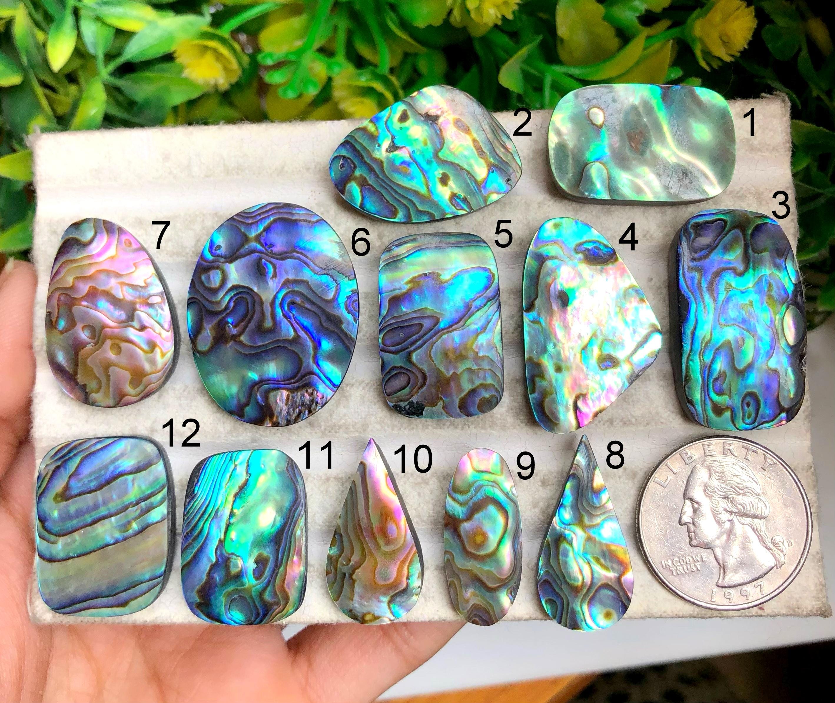 Top Grade Quality Abalone Shell Cabochon, Gorgeous Natural Rainbow ...