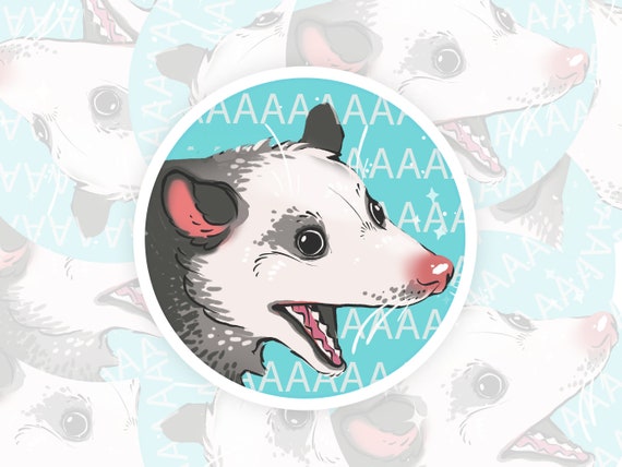 Fun To Draw Possum