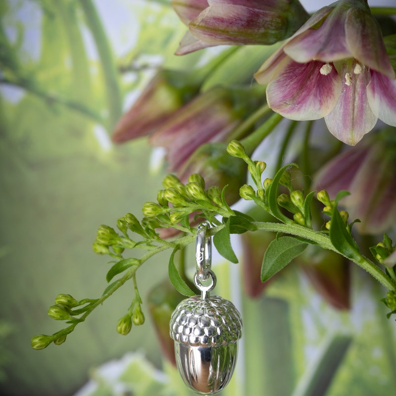 Silver Acorn - Etsy