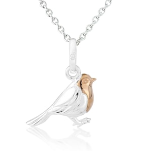 Robin Necklace or Robin Pendant,this Sterling Silver Bird Necklace is a ...