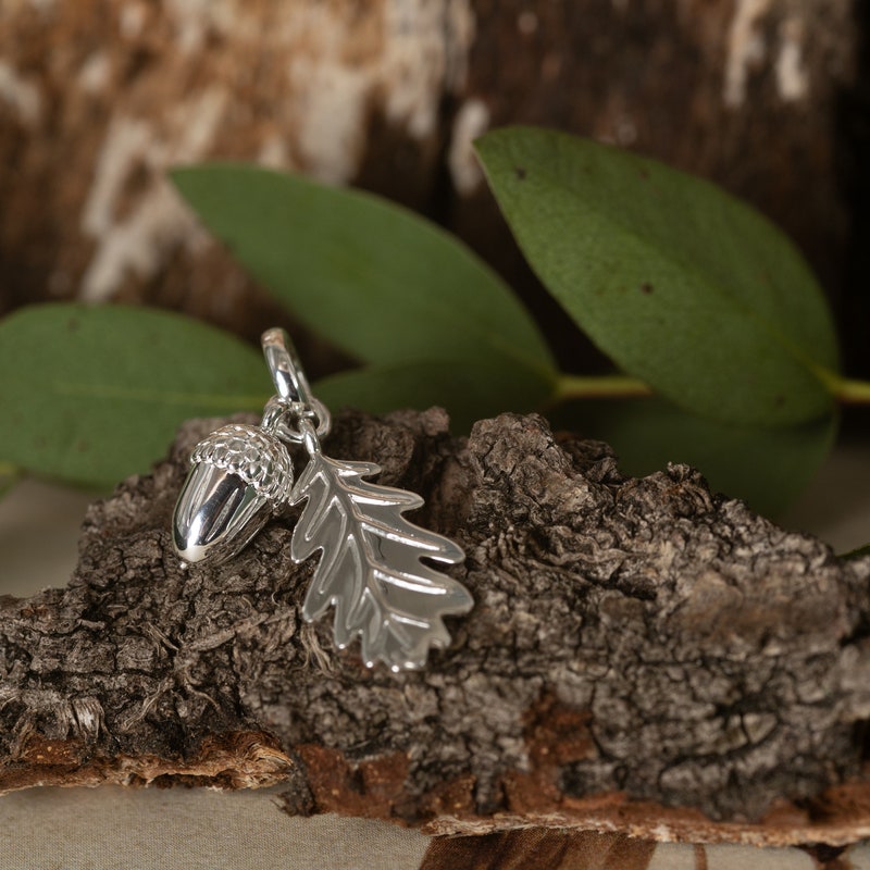 Silver Acorn - Etsy
