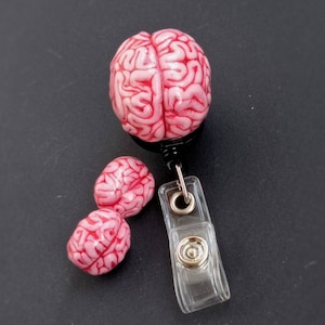 Brain Badge Reel ID Card Holder Human 3d Brain Therapist Gift ...