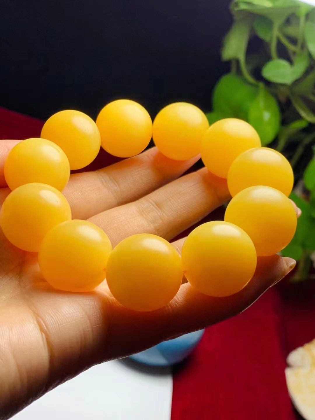 20mm Natural Yellow Giant Clam Beaded Bracelet, Giant Clam Shell Beads ...