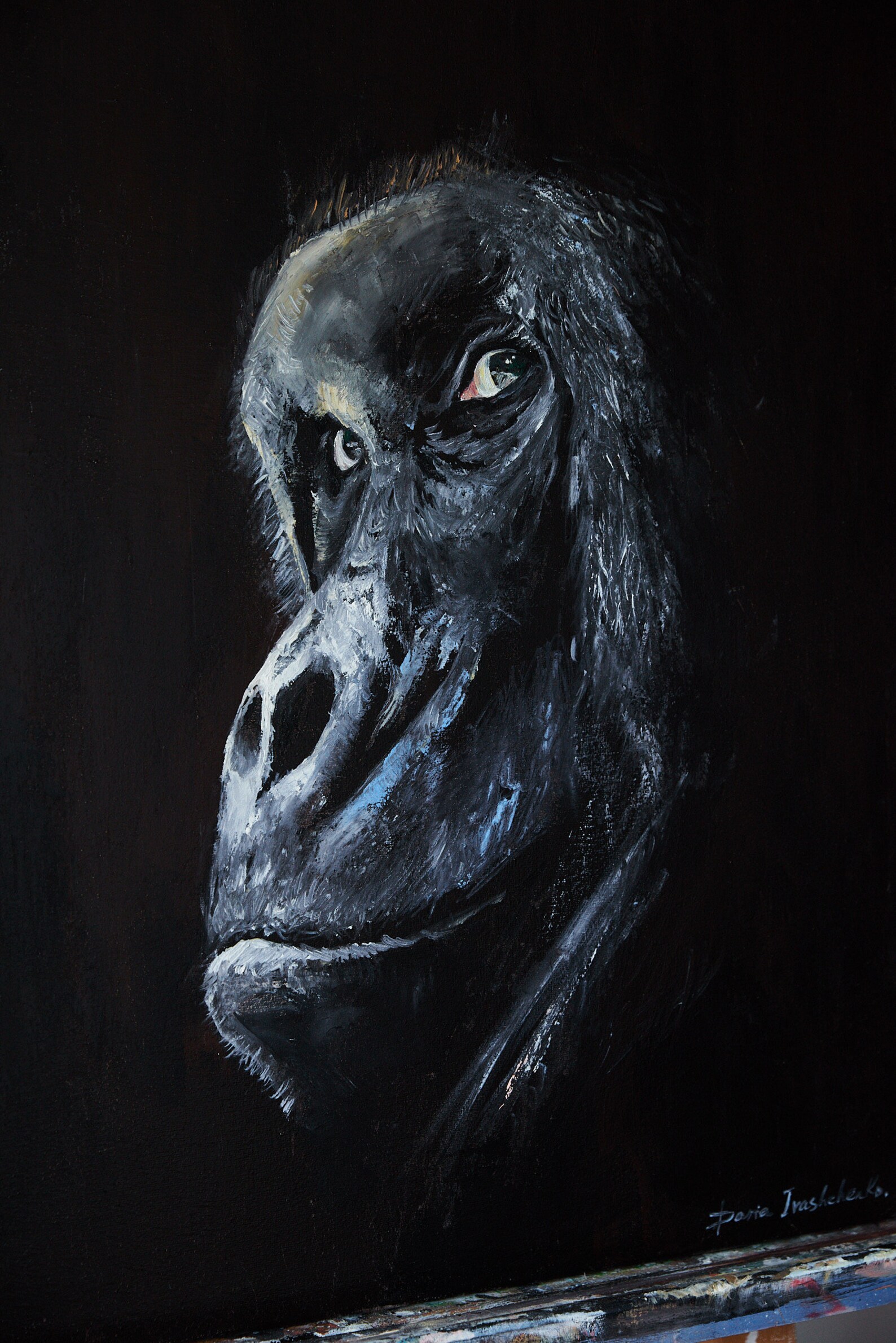 Oil Painting Original Monkey Animal Paintings on Canvas Orangutan ...