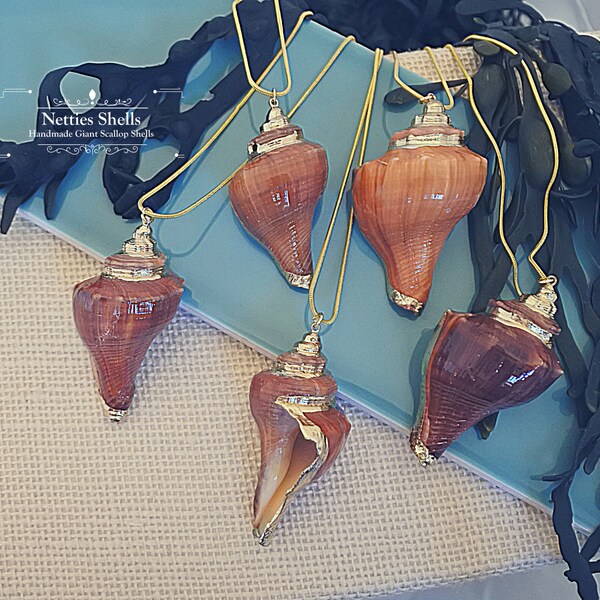 Conch Shell Necklace - Etsy
