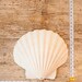 Pink Flamingo Giant Scallop Shell Decoration for Hanging Inside or ...
