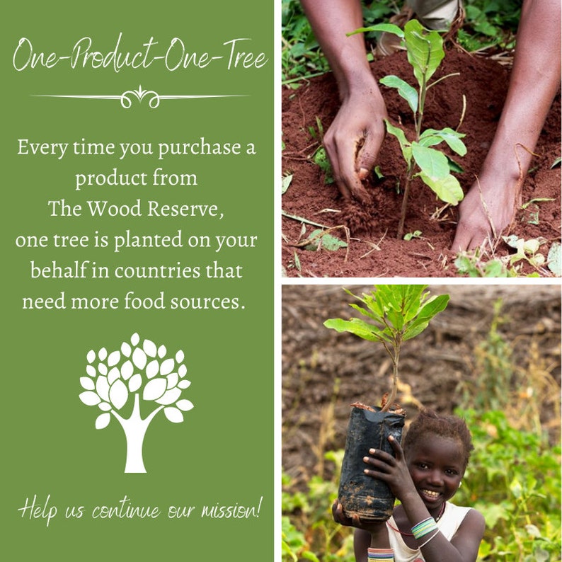 Timberland Amish Barn Door Bookcase Handcrafted From Solid - Etsy