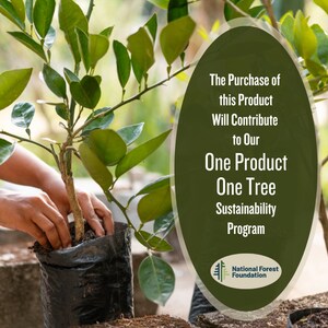 Timberland Amish Barn Door Bookcase Handcrafted From Solid Wood Free ...