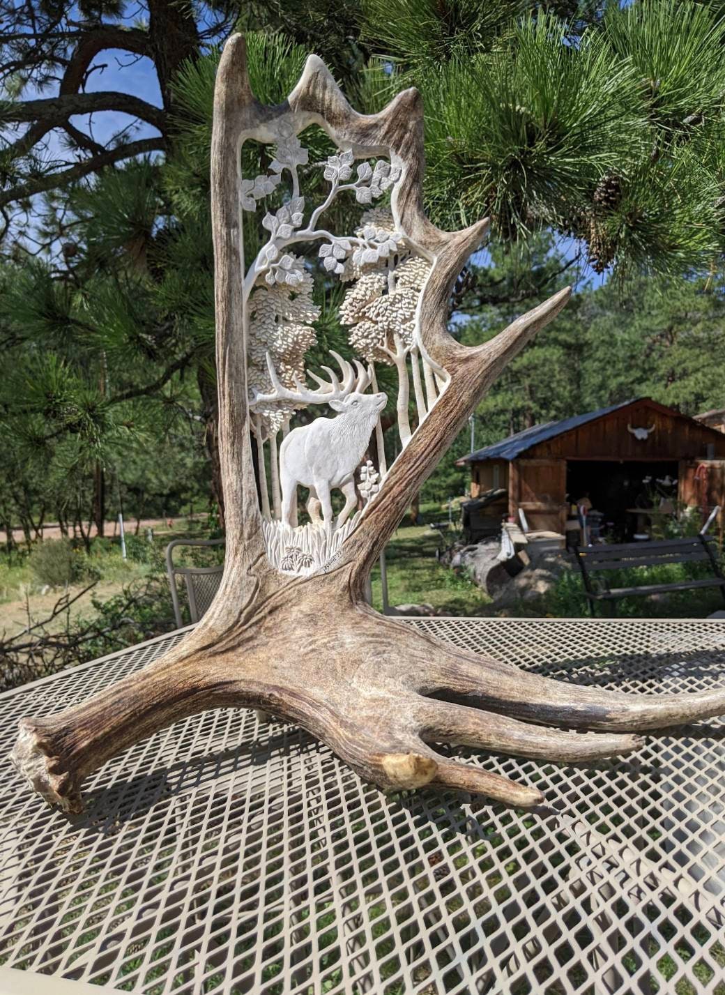 Carving of Bull Elk in the Aspen on Moose Antler - Etsy