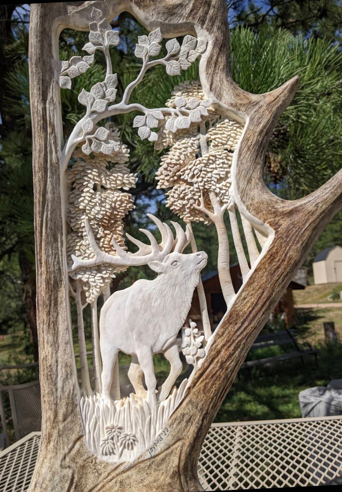 Carving of Bull Elk in the Aspen on Moose Antler - Etsy