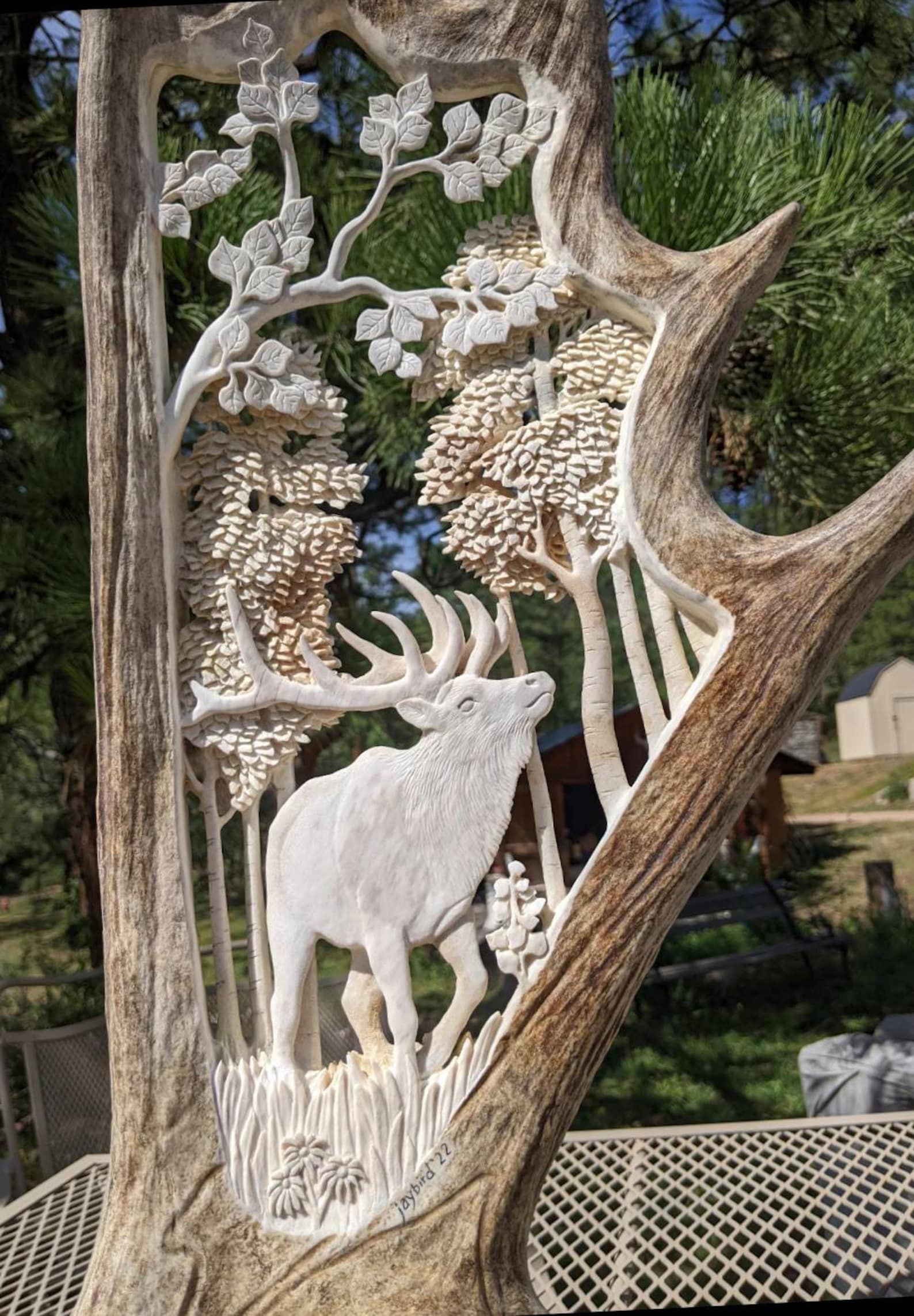 Carving of Bull Elk in the Aspen on Moose Antler - Etsy