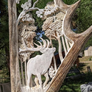 Carving of Bull Elk in the Aspen on Moose Antler - Etsy